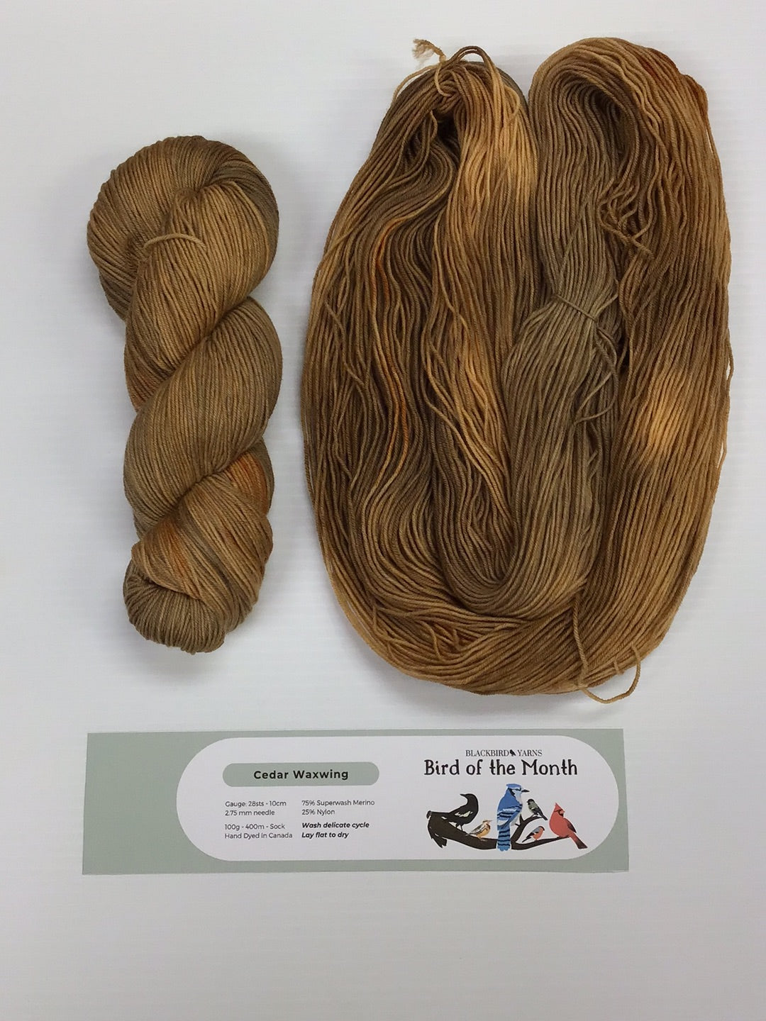 July - Bird of the Month Yarn Club – Blackbird Knitting & Needlework